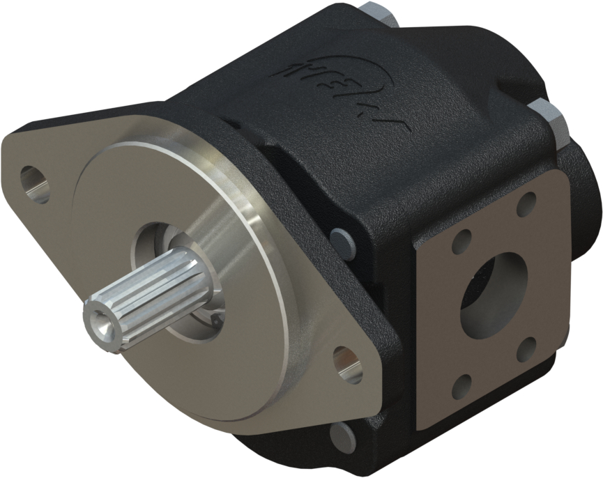 Lamina/Concha | 28007B